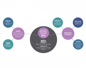 Endoform 101 – JK HealthCare